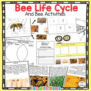 Kindergarten Sight Word Worksheets + Activities - Fun with Mama Shop