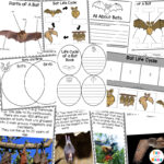 Halloween BUNDLE Activities For Kids - Fun with Mama Shop