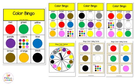 Bingo Game Boards Small Groups - 17 Themes - Fun with Mama Shop