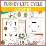 Thanksgiving Activity Bundle - Fun with Mama Shop