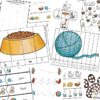 Cat Themed Activities Pack - Fun with Mama Shop