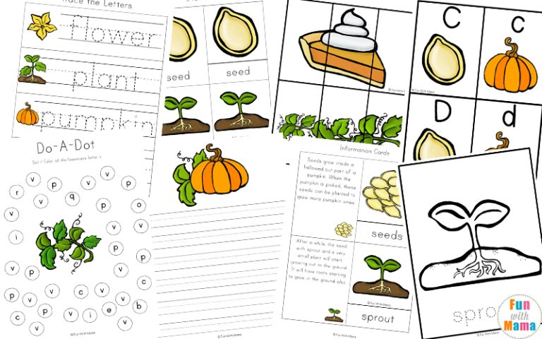 Pumpkin Life Cycle Activities Pack - Fun with Mama Shop