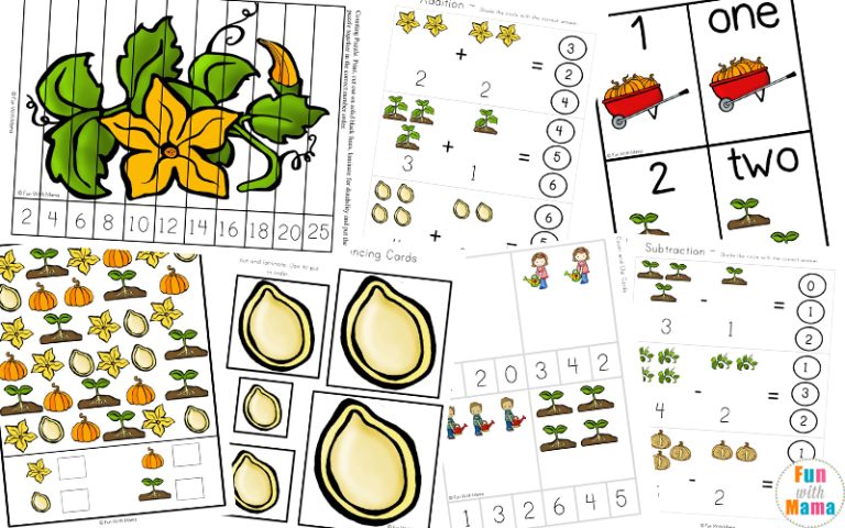 Pumpkin Life Cycle Activities Pack - Fun with Mama Shop